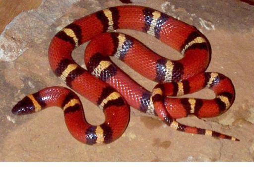 Industriographic - Screen 5 on FlowVella - Presentation Software for ...