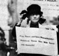 Edna millay on FlowVella - Presentation Software for Mac iPad and iPhone