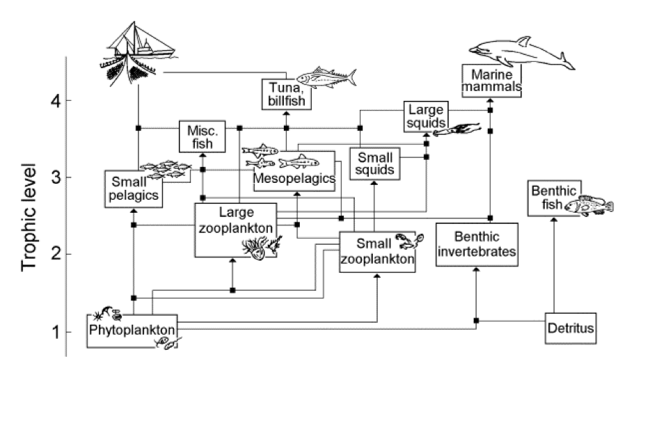 Oceanic salt water - Screen 17 on FlowVella - Presentation Software for ...