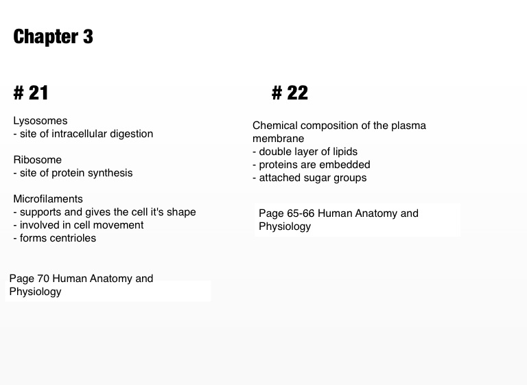 Anatomy Summer Work Screen 15 On Flowvella Presentation Software