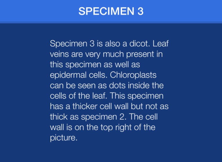 Microscope Project - Screen 7 on FlowVella - Presentation Software for ...