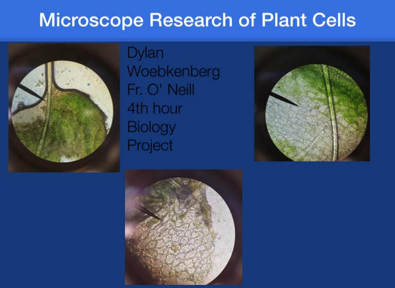 Microscope Research Of Plant Cells On Flowvella Presentation Software For Mac Ipad And Iphone