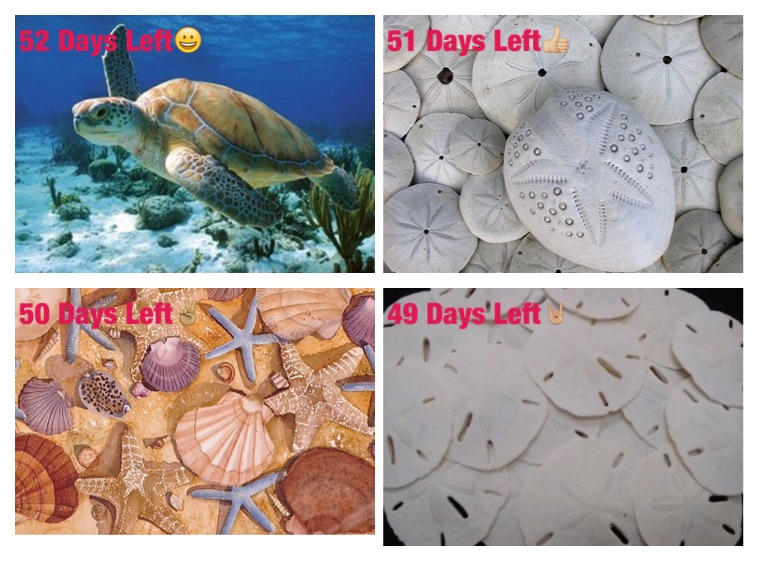 Spring Break Countdown🌴🐠 - Screen 2 on FlowVella - Presentation ...
